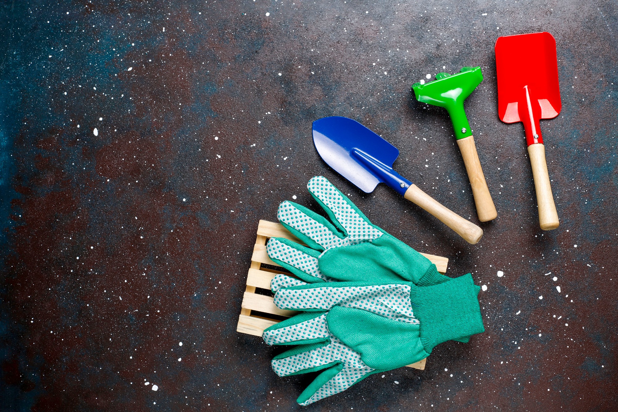 Best Tools for Lawn and Garden Maintenance